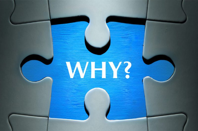 Marketing Morsel – AMI LC